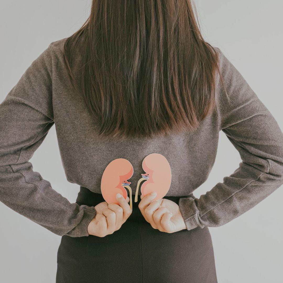 Zdraví ledvin | medicalmediumfamily.cz