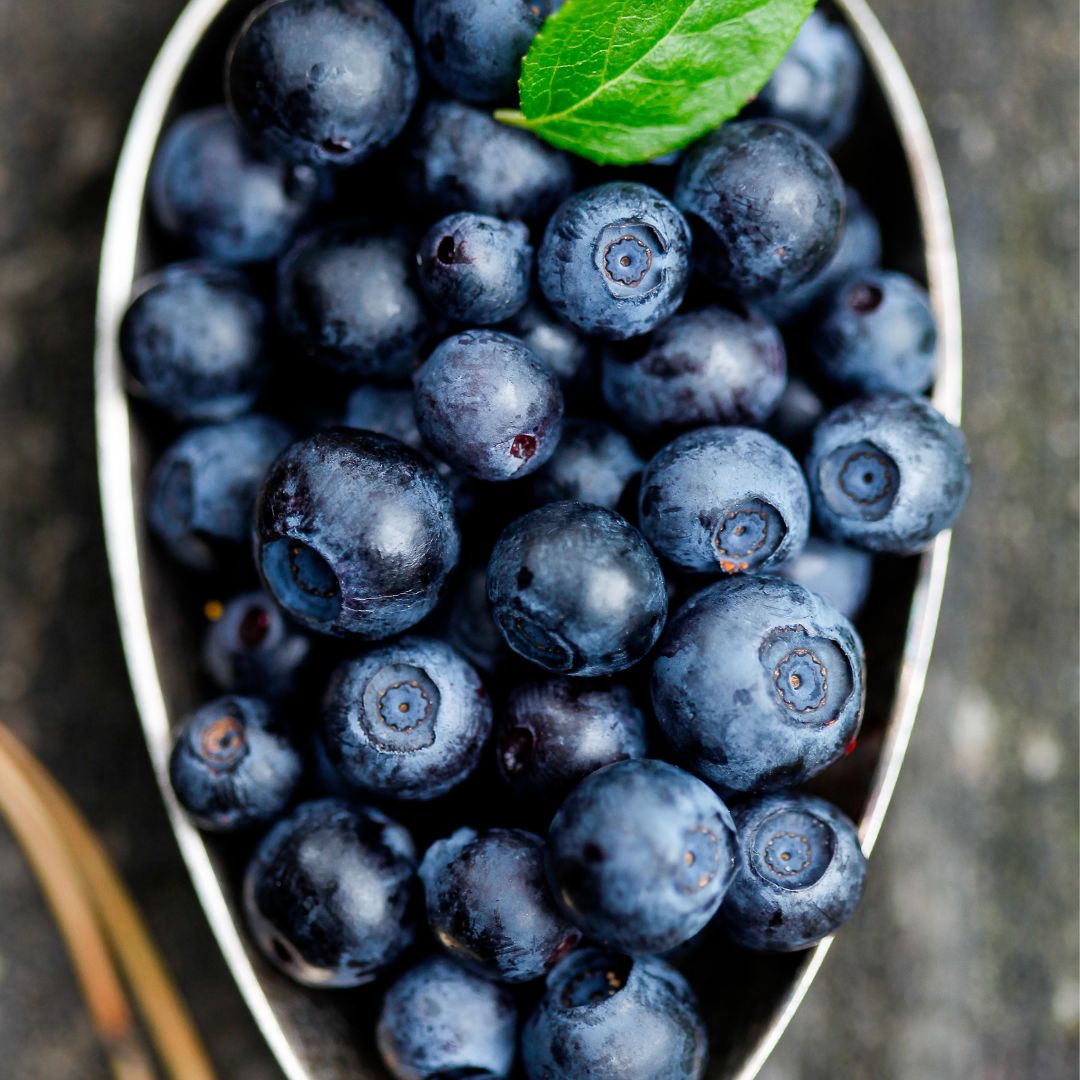 Divoké borůvky a jejich účinky | medicalmediumfamily.cz